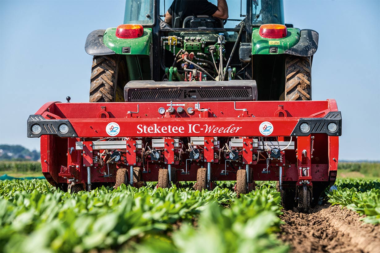 CP10_ic-weeder3.jpg
